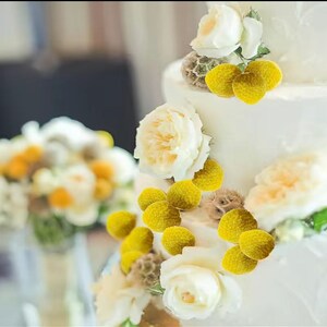 Dried LARGE Dark Blue Craspedia - Billy Balls - Wedding Bouquet - Home ...