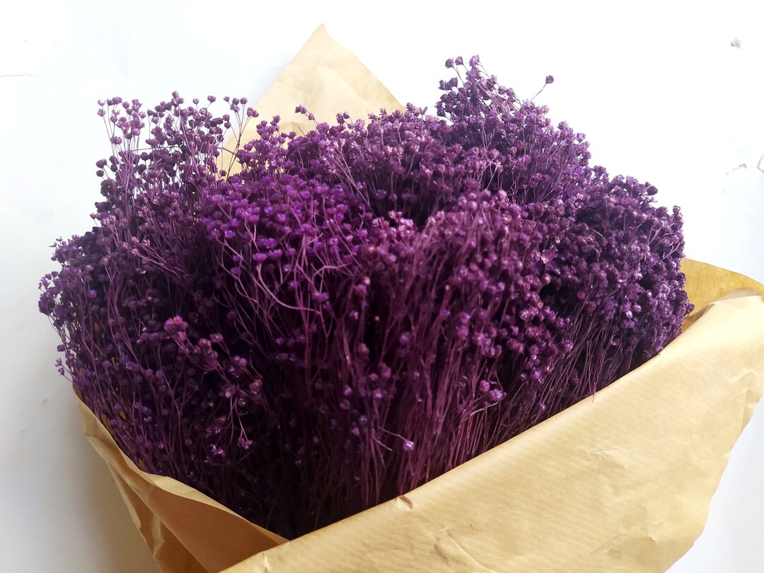 Dried Purple Bloom Broom Bunch Colored - Home Decoration - Rustic ...