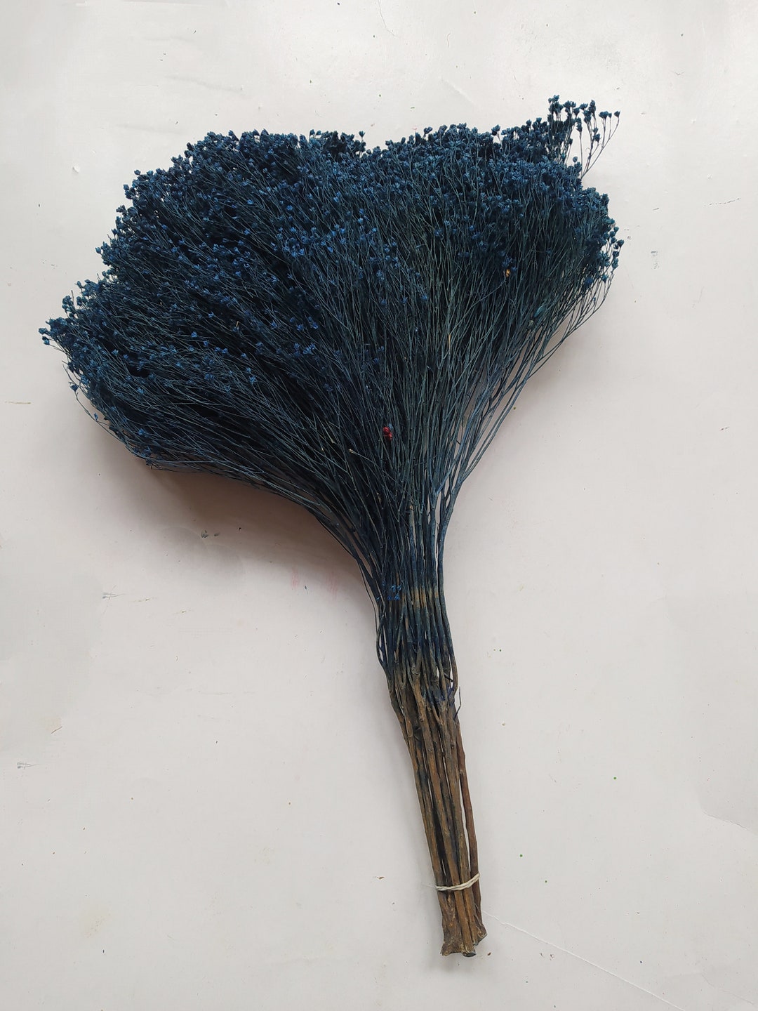 Dried Dark Blue Bloom Broom Bunch Colored - Home Decoration - Rustic ...