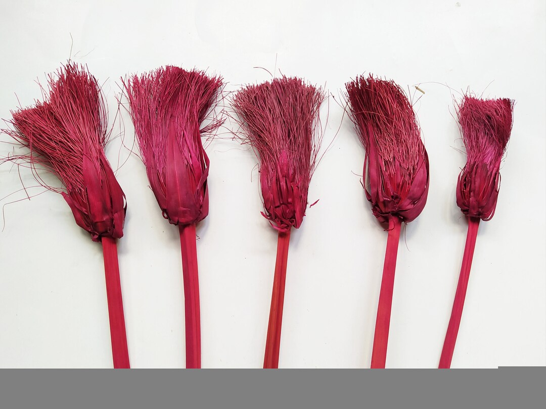 Dried Papyrus Brush Bunch Red - Wedding Decoration - Rustic Bouquets ...