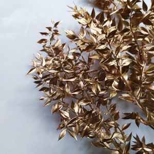 FANTASTIC! Preserved GOLDEN Italian Ruscus Bunch - Wedding Decoration ...