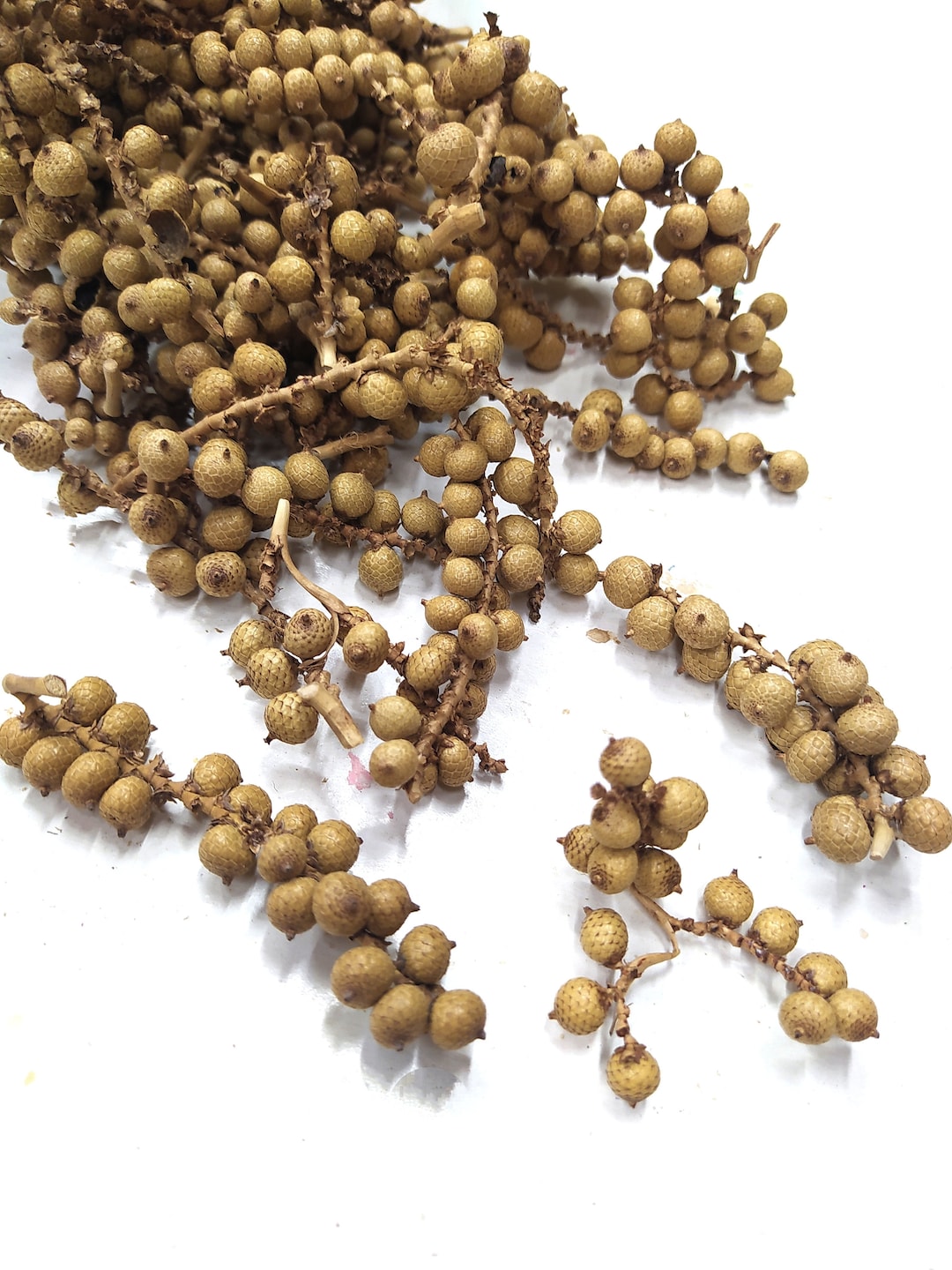 Dried Canella Berries: Natural Rustic Floral Decor - 100g - Etsy