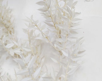 FANTASTIC Preserved YELLOW Italian Ruscus Bunch Wedding | Etsy