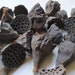 50 X Dried MINI Lotus Pods Natural Color Dried Lotus Pods - Etsy