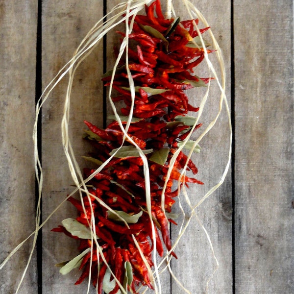 Chili Peppers Garland - Etsy