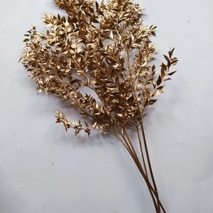FANTASTIC! Preserved GOLDEN Italian Ruscus Bunch - Wedding Decoration ...