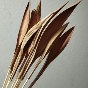 10 X Dried Palm Paddles Stemmed - Natural Color - Exotic Decoration ...