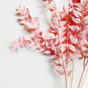 FANTASTIC! Preserved PINK Italian Ruscus Bunch - Wedding Decoration ...