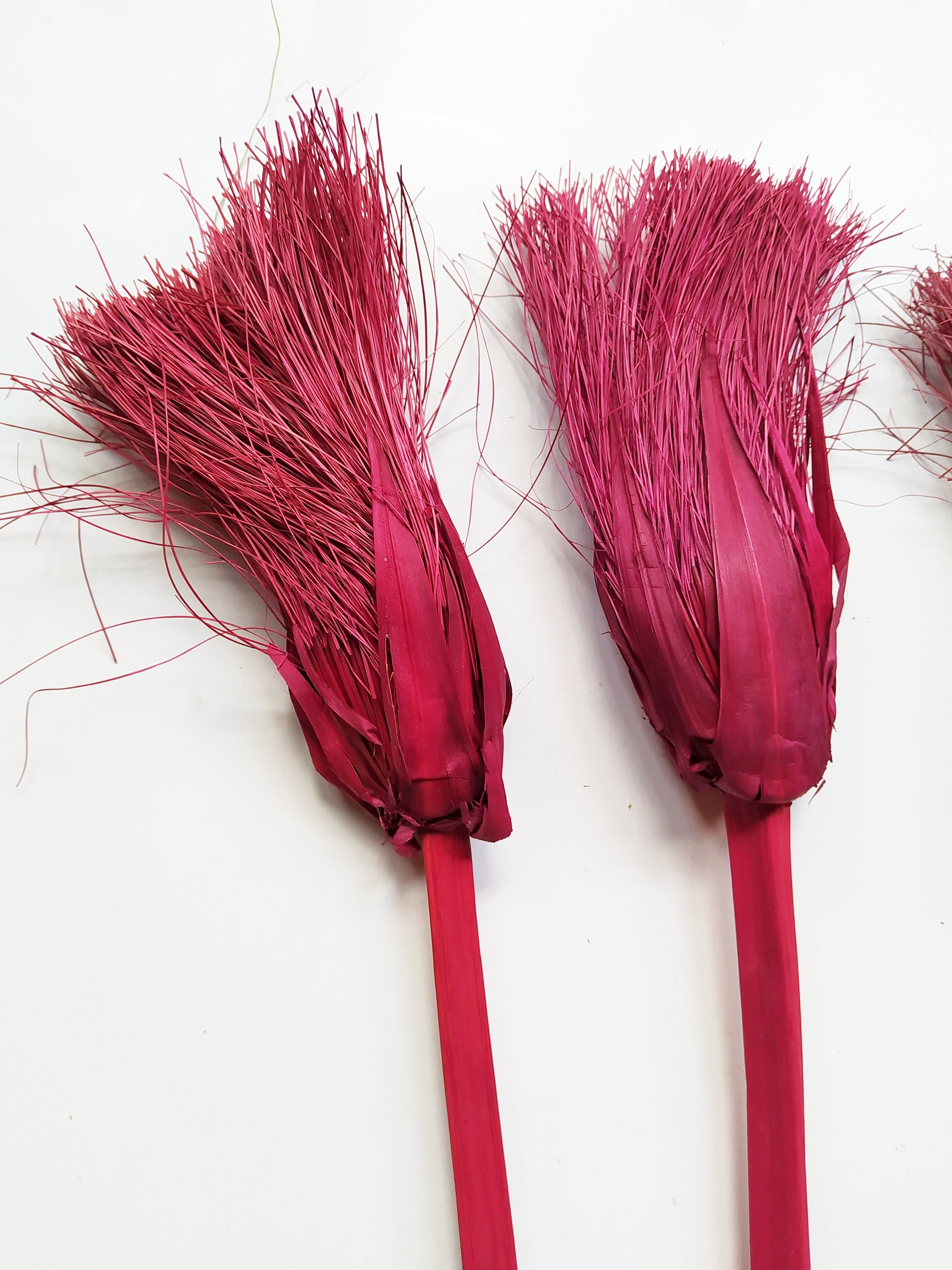 Dried Papyrus Brush Bunch Red Wedding Decoration Rustic | Etsy
