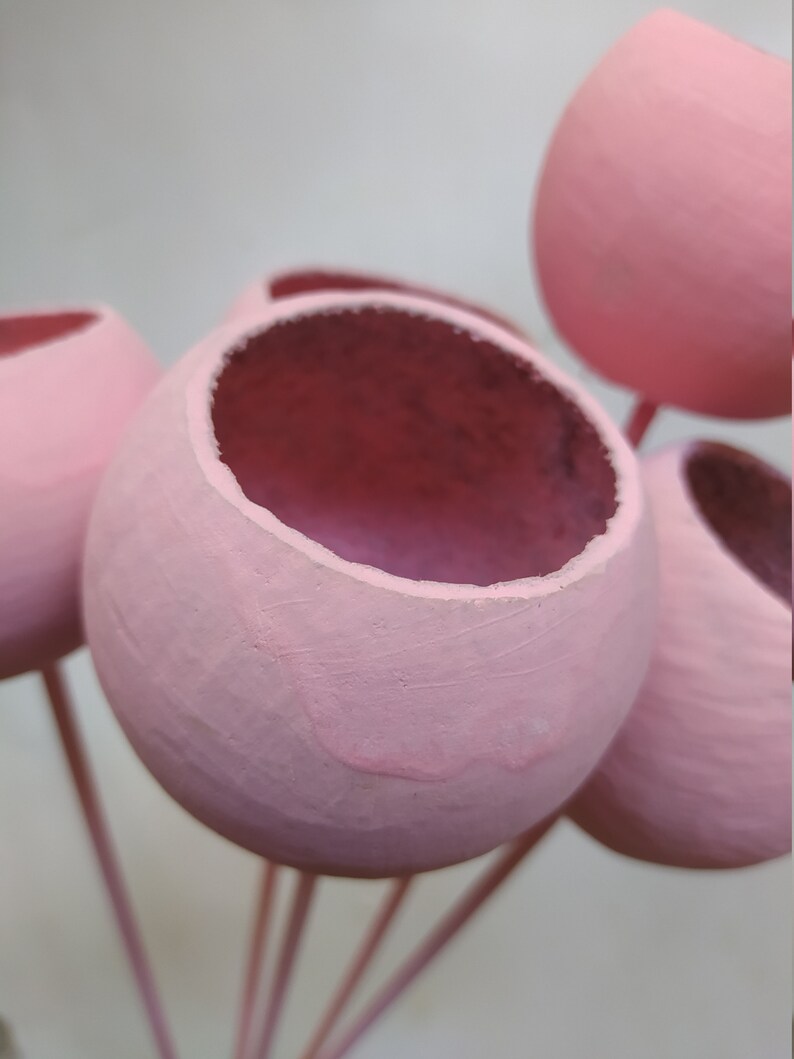 Dried Pink Bell Cups Stemmed Dried Flowers Florist Supply | Etsy