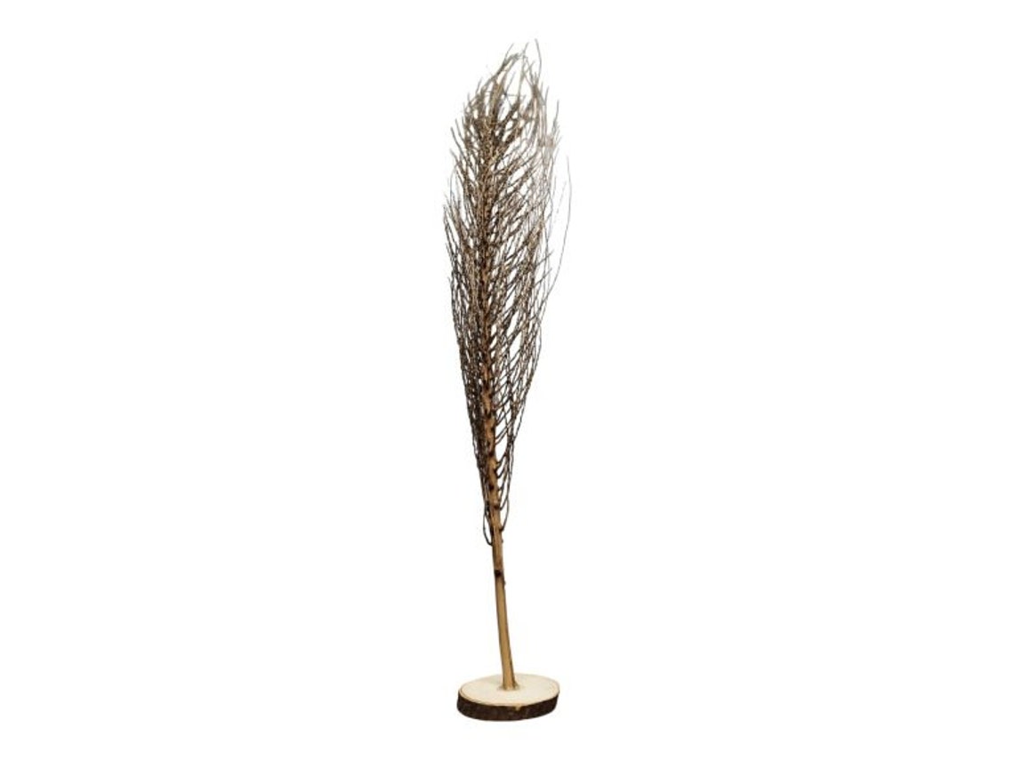 Dried Date Palm Seed Shoot Tree: Exotic Beach Decoration, Floral ...