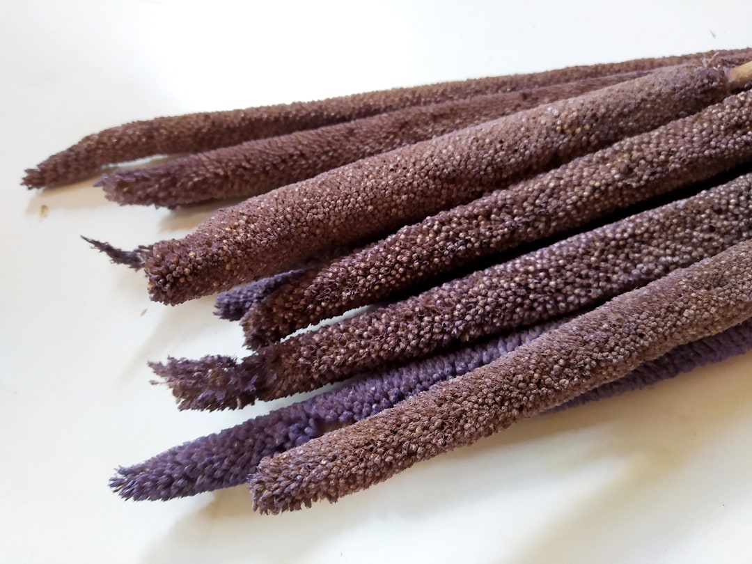 10 X Dried Purple Babala Stems - Home Decoration - Rustic Bouquets ...