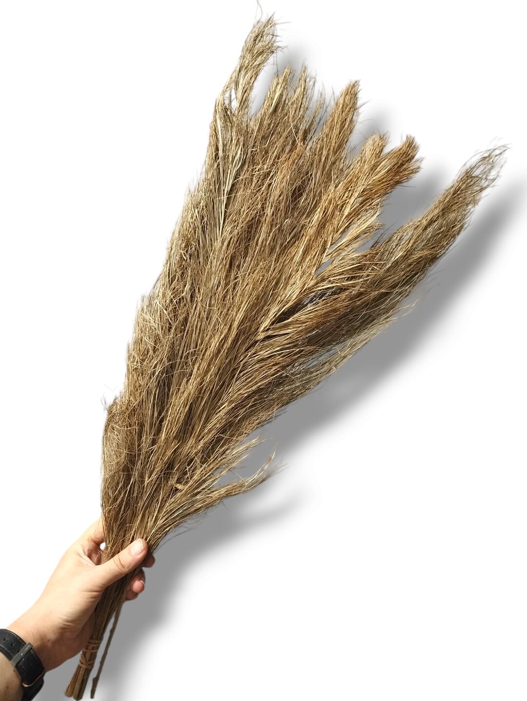 50 X Dried Khezur Hair - Home Decoration - Rustic Bouquets - Wreaths - Etsy
