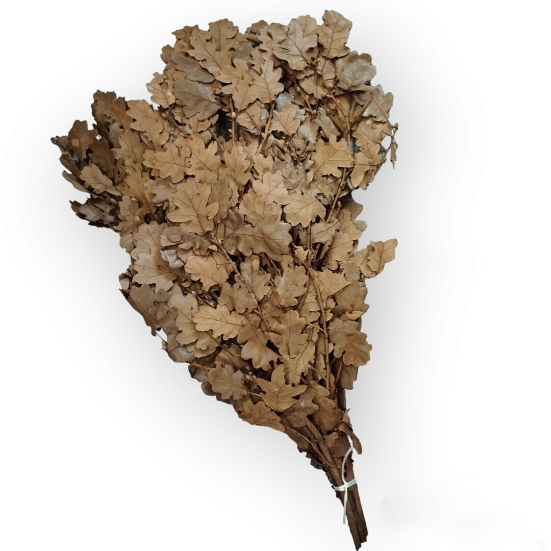 Preserved Oak Bunch Natural Color - Wedding Decoration - Rustic ...