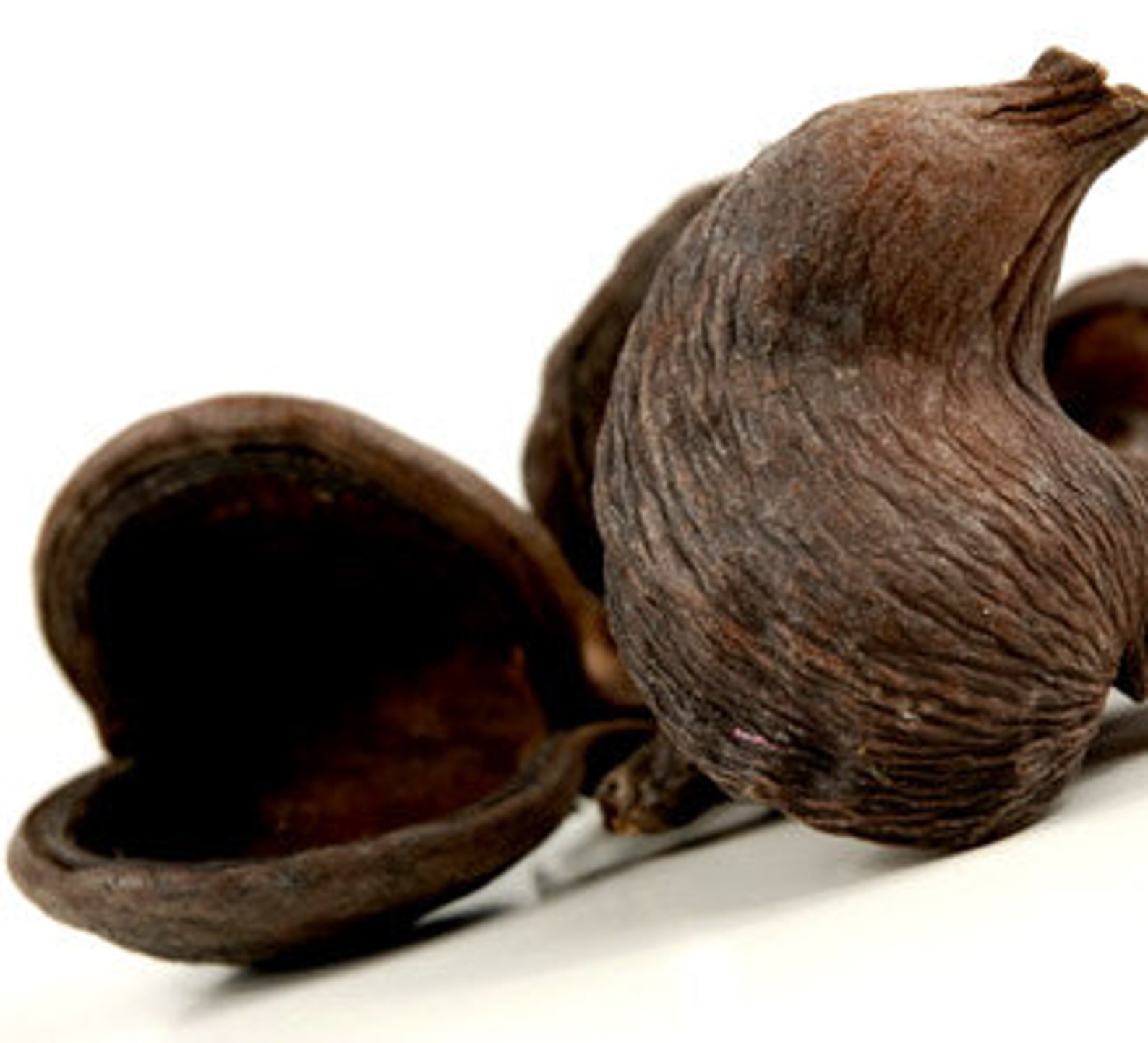 Badam Pods Natural Color Winter Decoration Box of 12 - Etsy India