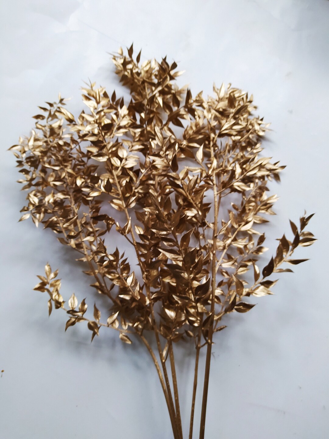 FANTASTIC! Preserved GOLDEN Italian Ruscus Bunch - Wedding Decoration ...