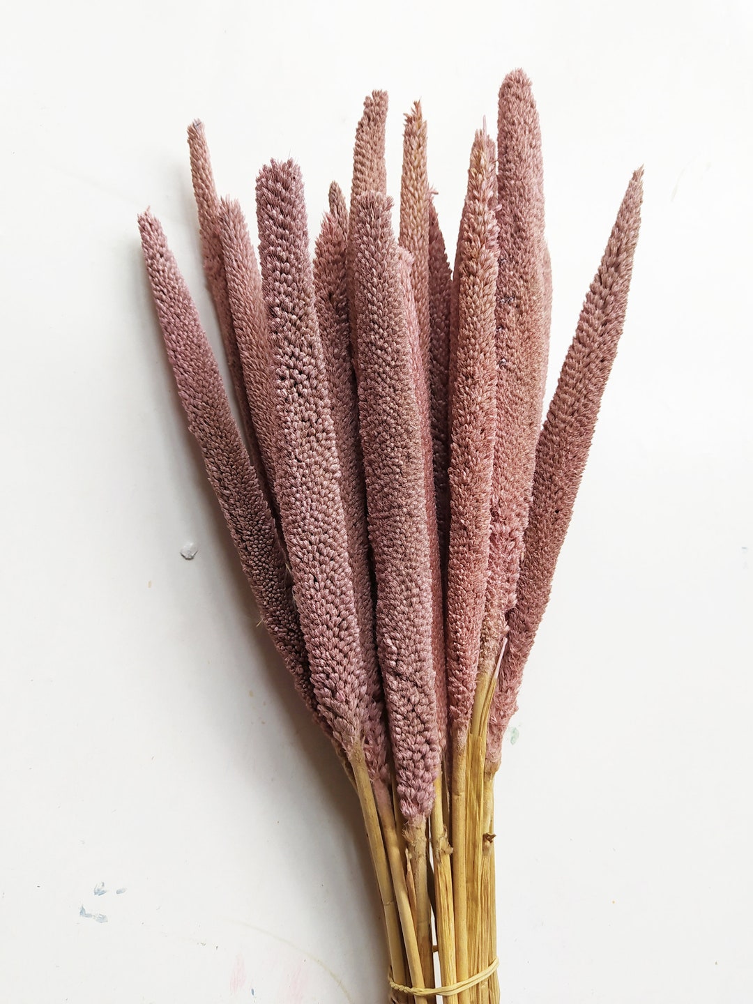 10 X Dried Dusty Pink Babala Stems Home Decoration Rustic - Etsy
