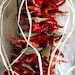 Chilli Peppers Garland Kitchen Decoration - Etsy