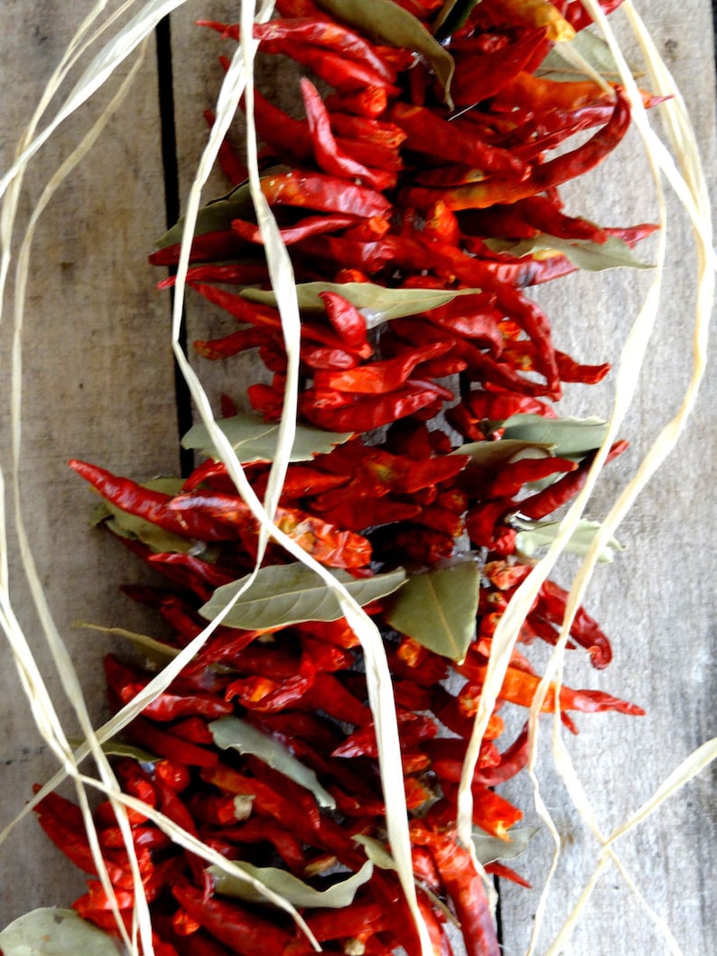 Chilli Peppers Garland Kitchen Decoration | Etsy