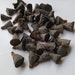 50 X Dried MINI Lotus Pods Natural Color Dried Lotus Pods - Etsy