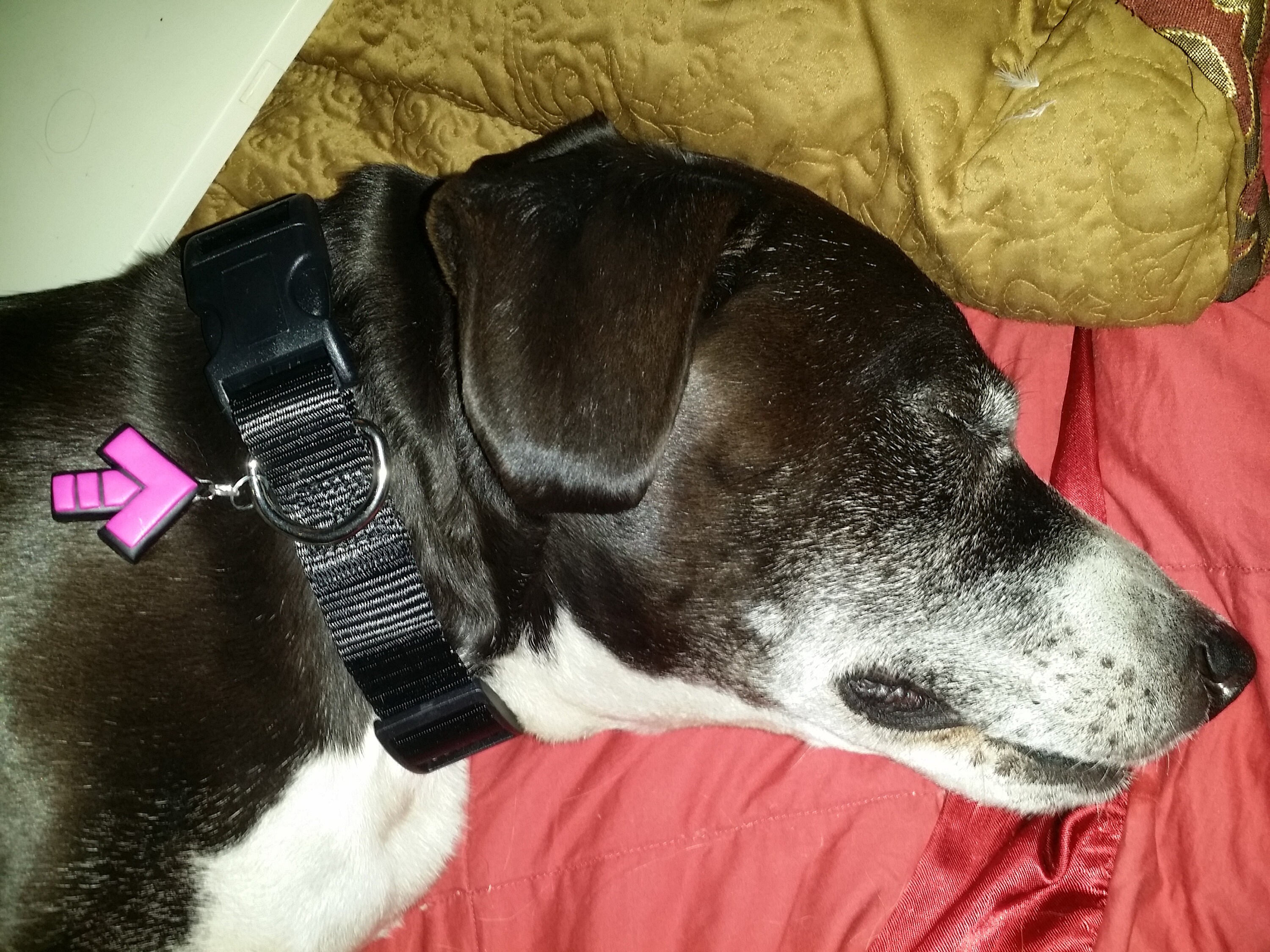 In the Groove ITG Arrow and Mine Necklaces SELECT STYLE - Etsy