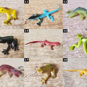 Reptile and Amphibian Accessories Party Favors Necklaces, Keychains and ...