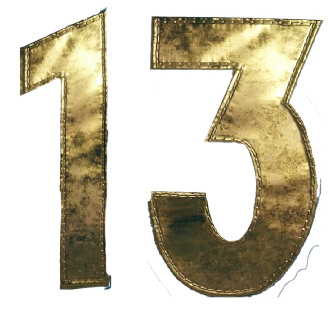 FALLOUT 13 printed / Fake Metallic Looking Vault-suit Numbers 21 Cm ...