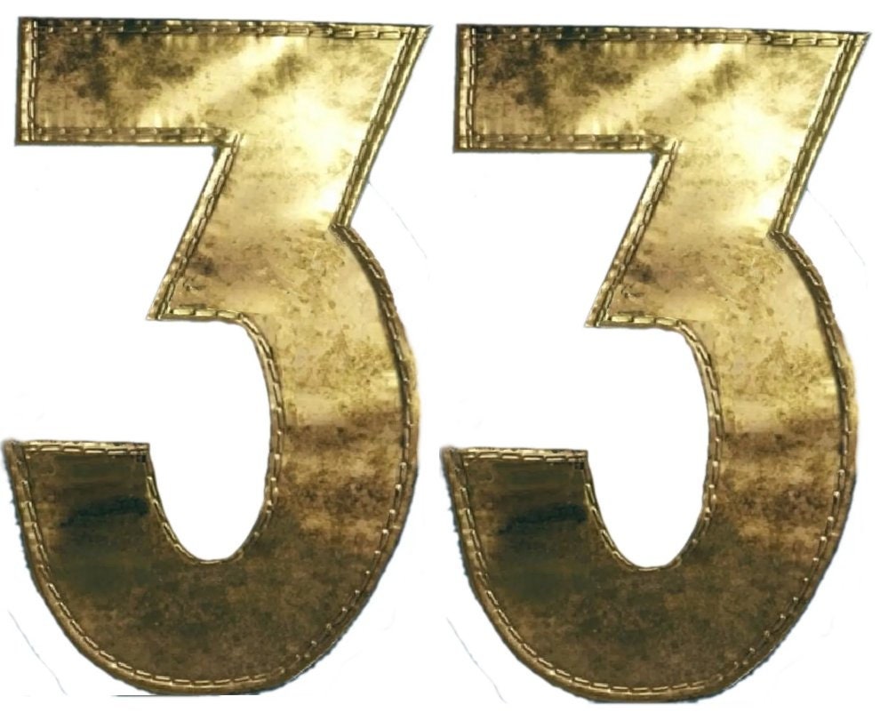 Fallout 33 Vault Suit Numbers Cosplay Costume Patch printed / Fake ...