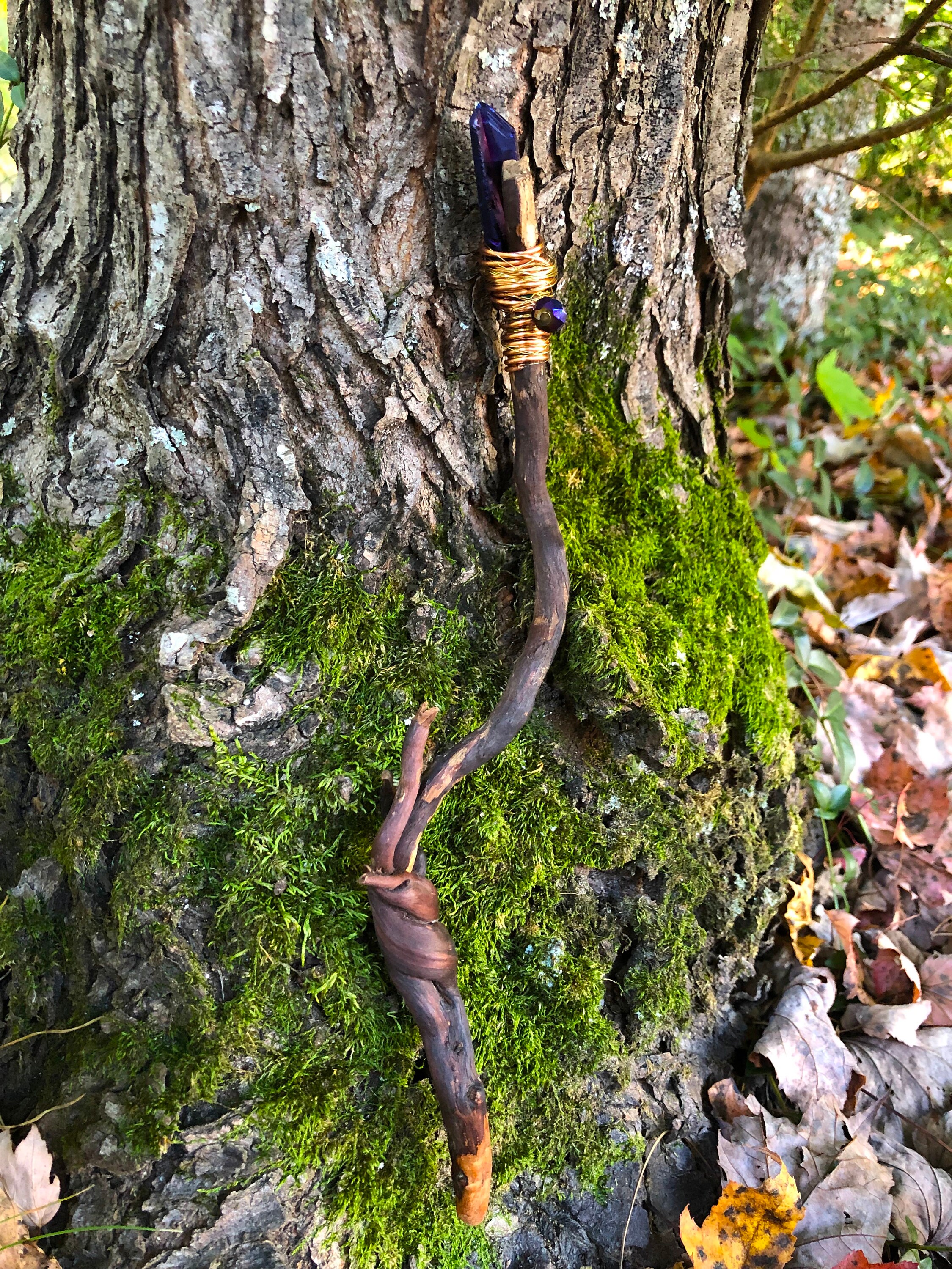 Twisted Sister From Bare Branch Series Magic Wands for All Ages ...