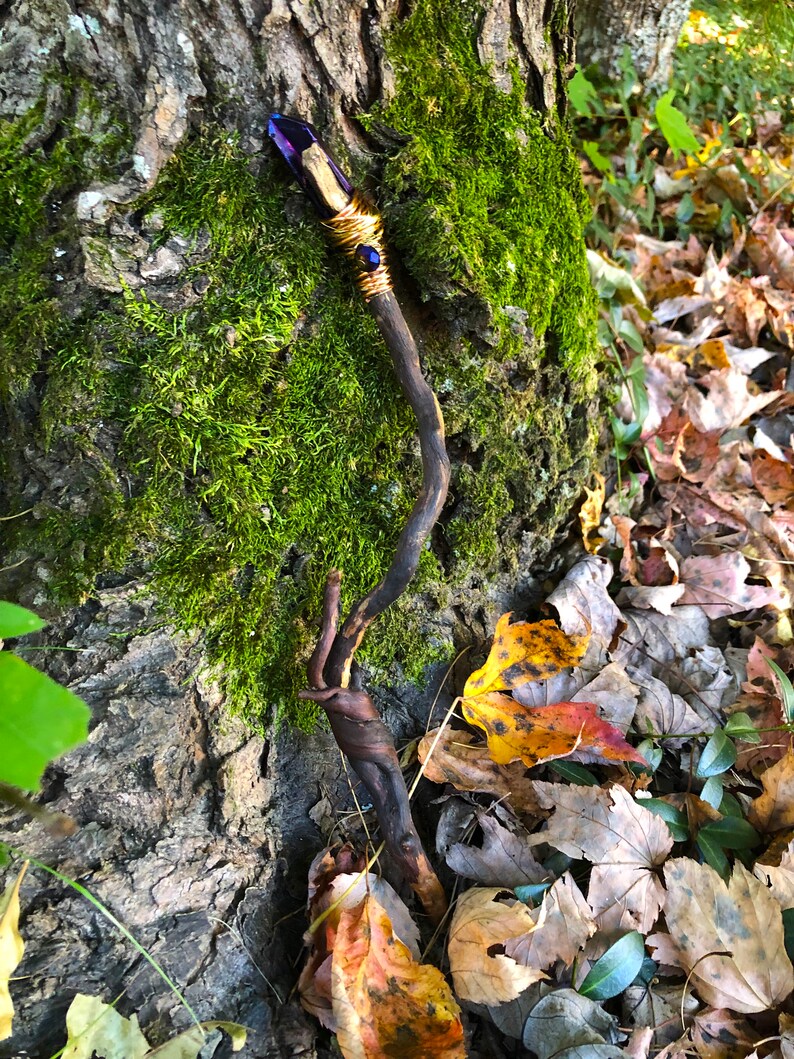 Twisted Sister From Bare Branch Series Magic Wands for All Ages ...