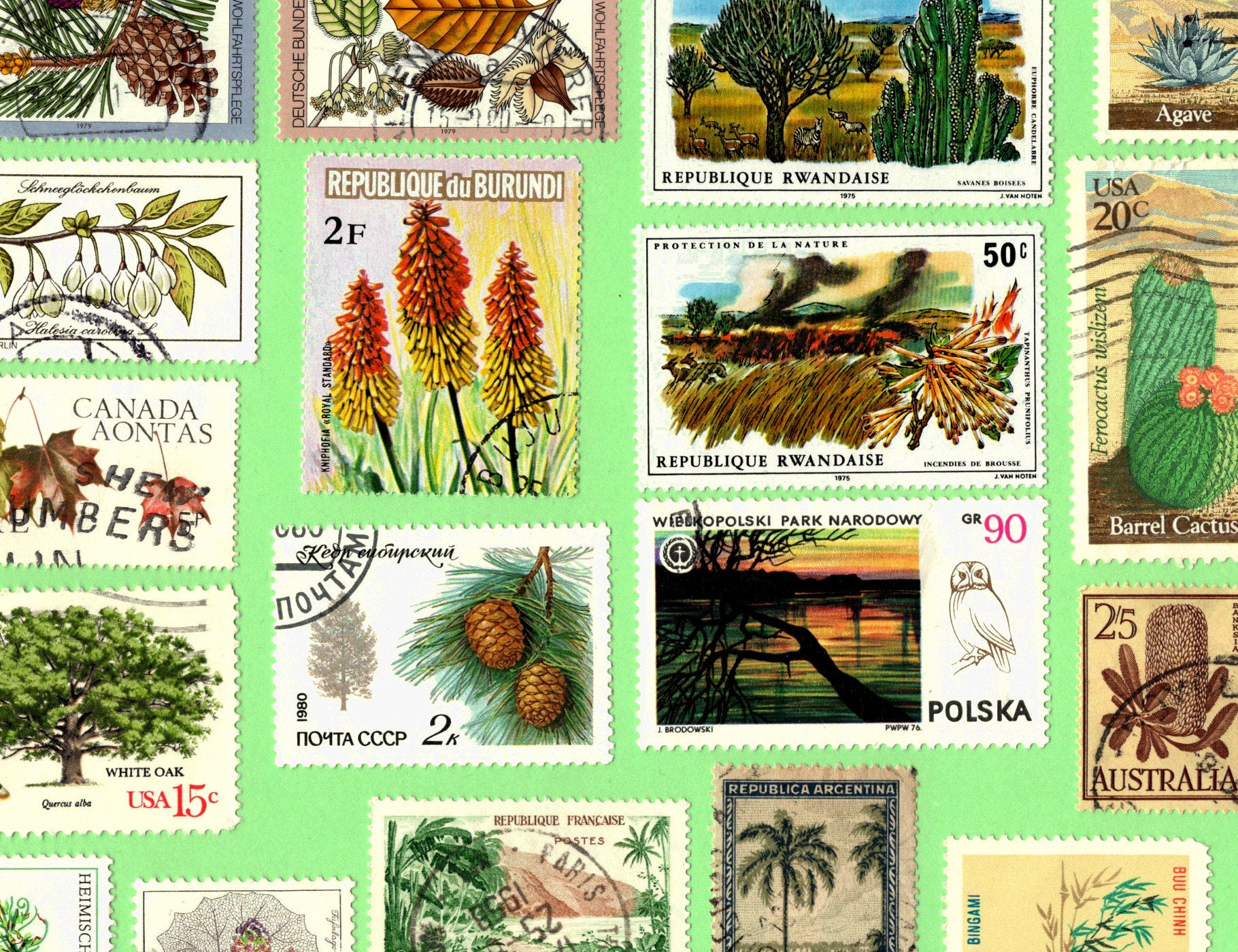 Plants and Fruits, DIGITAL Postage Stamps. Yellow Flowers. Botanical ...
