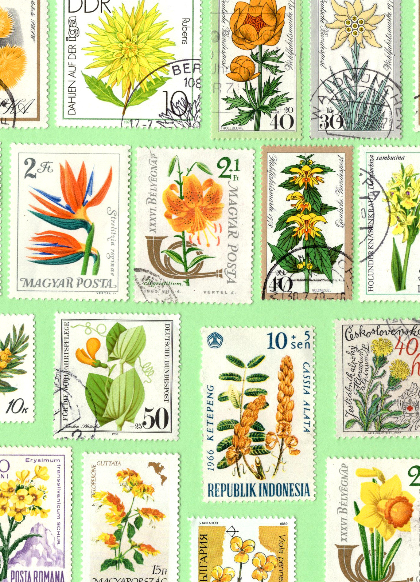 Plants and Fruits, DIGITAL Postage Stamps. Yellow Flowers. Botanical ...