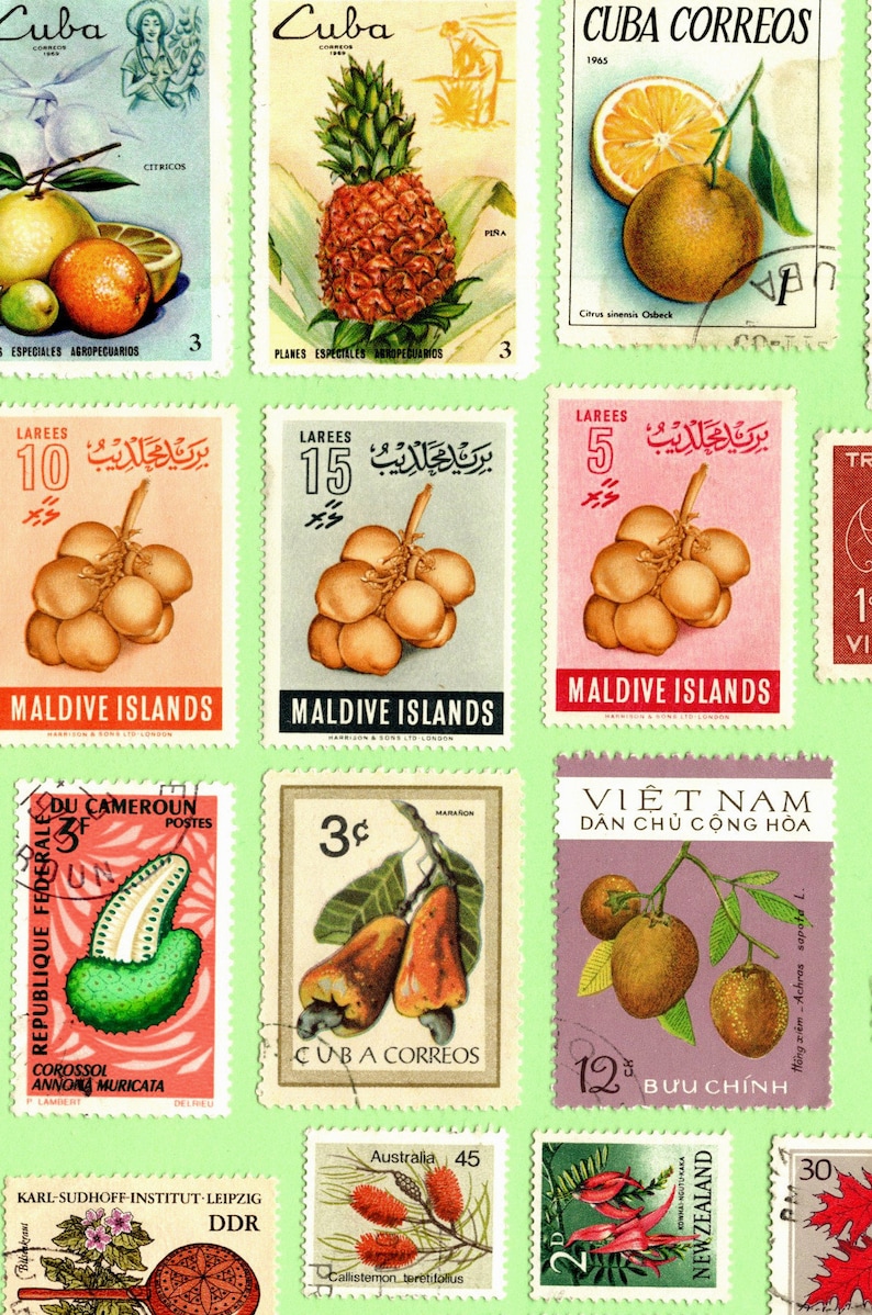 Plants and Fruits, DIGITAL Postage Stamps. Yellow Flowers. Botanical ...