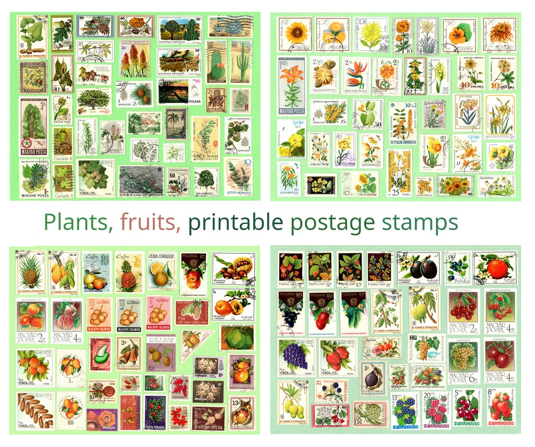 Plants and Fruits, DIGITAL Postage Stamps. Yellow Flowers. Botanical ...