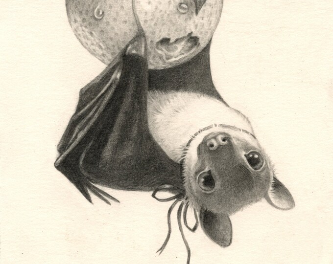 Fruit Bat Print - 5x7 Fine Art Print - Etsy
