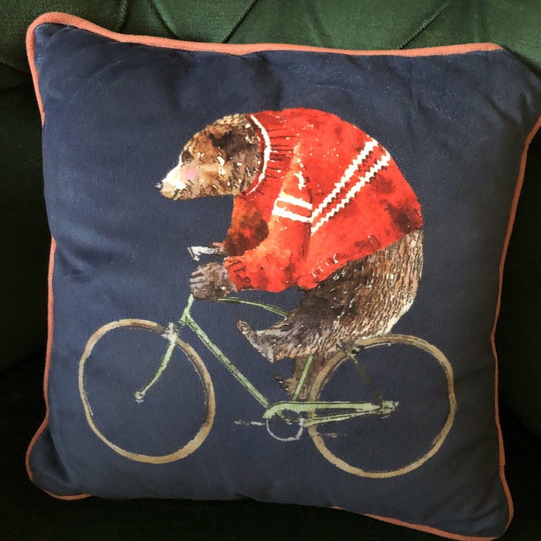 Small Velvet Bear on Bicycle Cushion by George Asda 30cm Sq - Etsy