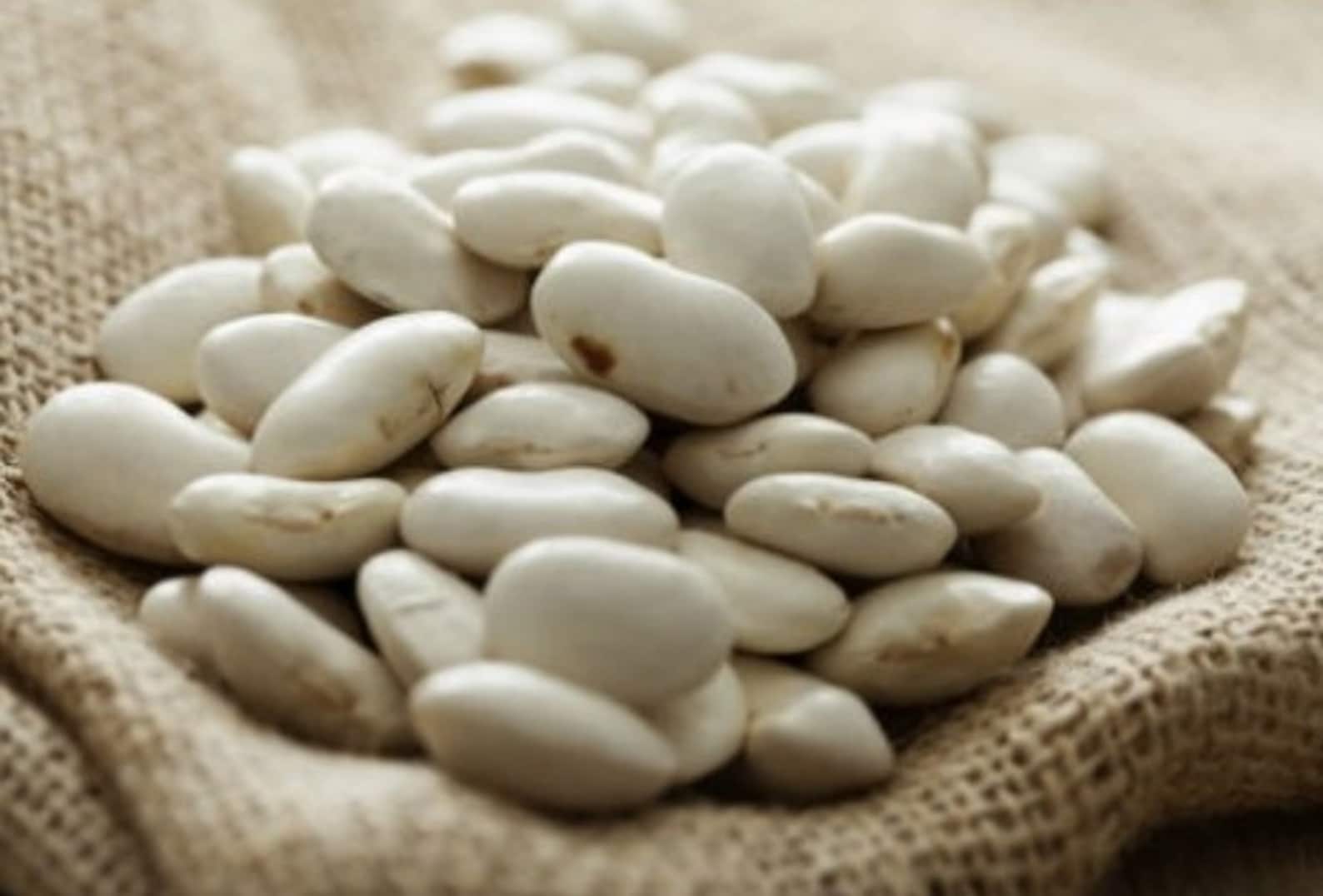 Giant Beens Seeds Butter Beans 30 Seeds Beans From | Etsy