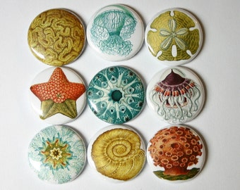 Ocean Magnets - Etsy