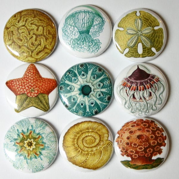 Sea Life Magnets - Etsy
