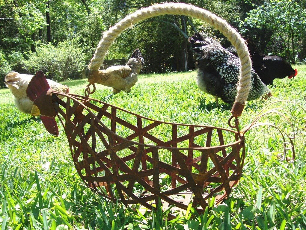 Large Rusty Chicken Egg Basket Centerpiece Farmhouse Shabby Chateau ...