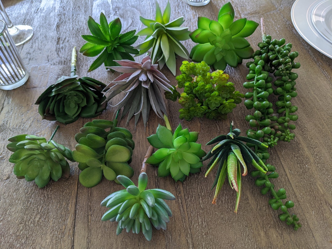 Set of 12 Mixed Succulents, Faux Succulents, Artificial Mixed ...