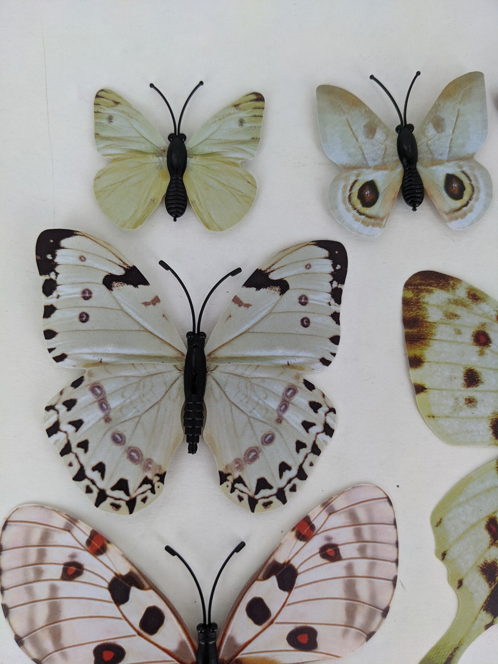 12 White Plastic Craft Butterflies, Craft Butterflies, Butterflies for ...