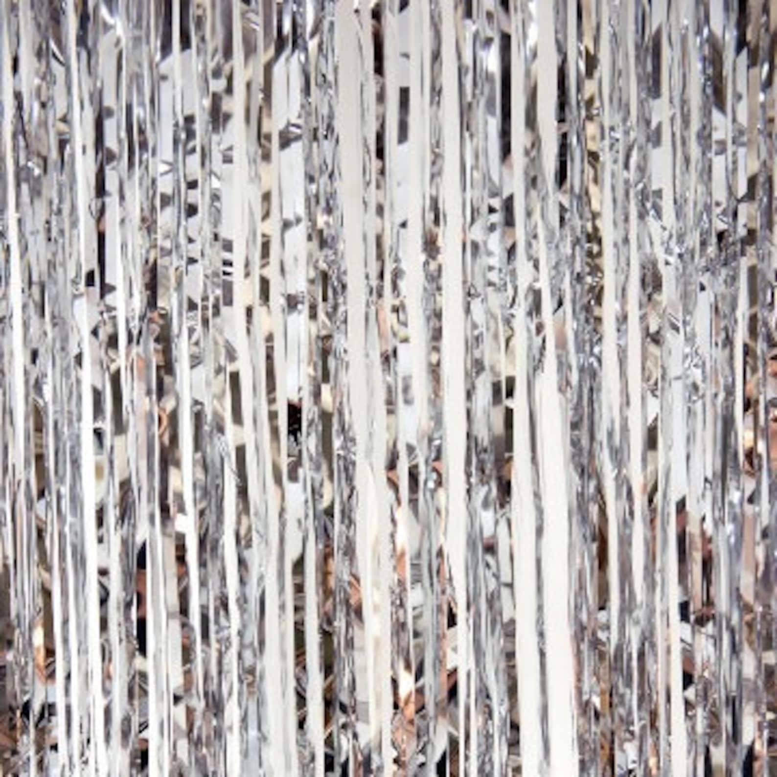 Silver metallic Fringe curtain panel. birthday backdrop | Etsy