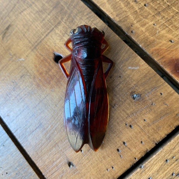 Cicada Brooch - Etsy