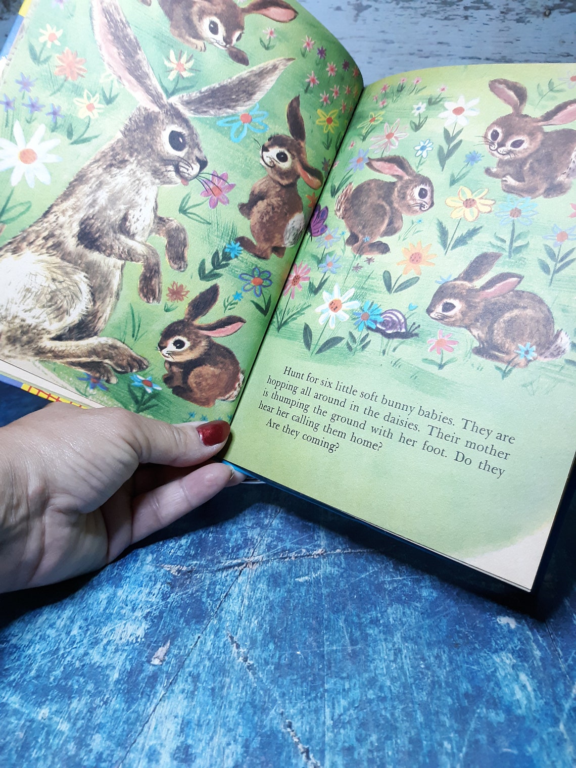 1958 Wonder Book Count the Baby Animals-marguerite Walters-illustrated ...