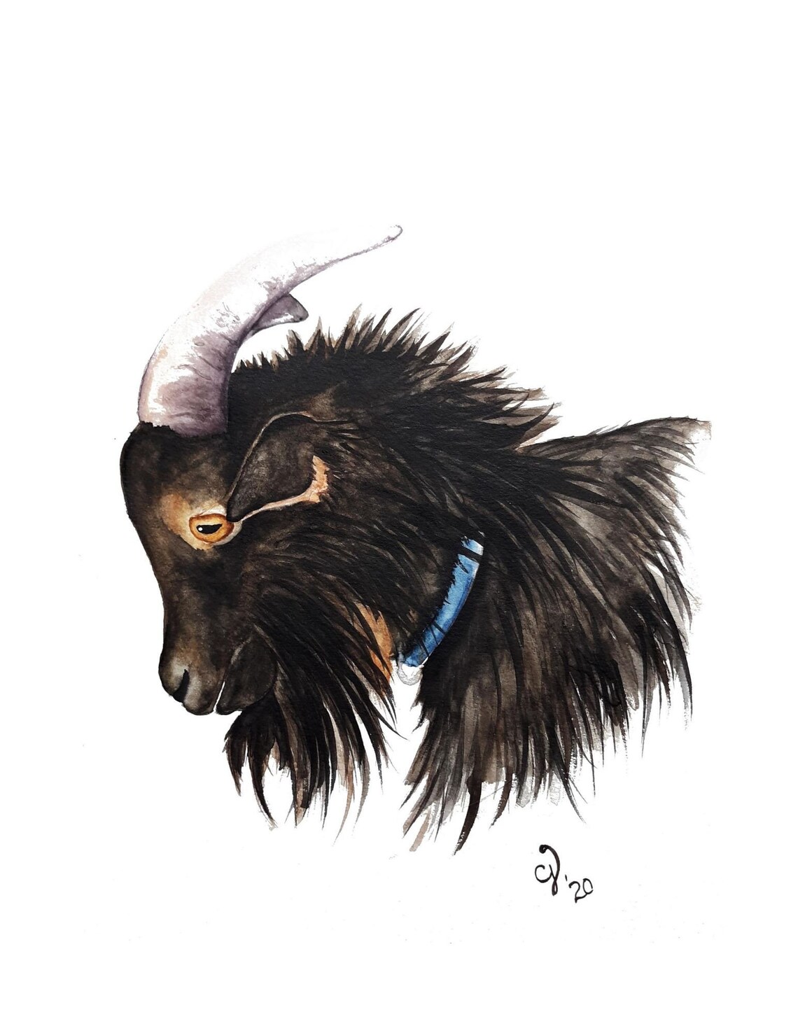 Goat Watercolor-giclee Print From Original Watercolor Painting-farm Art ...