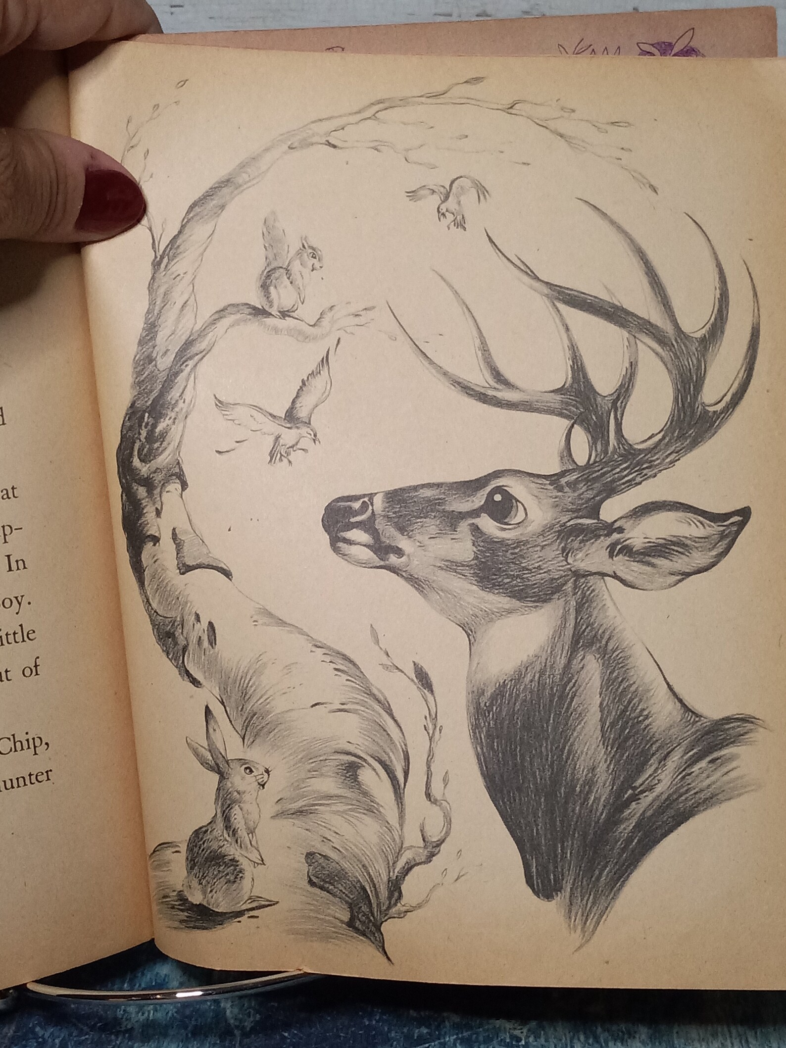 1947 Chip Chip Chipmunk Book-very Old Little Golden Book-childrens ...