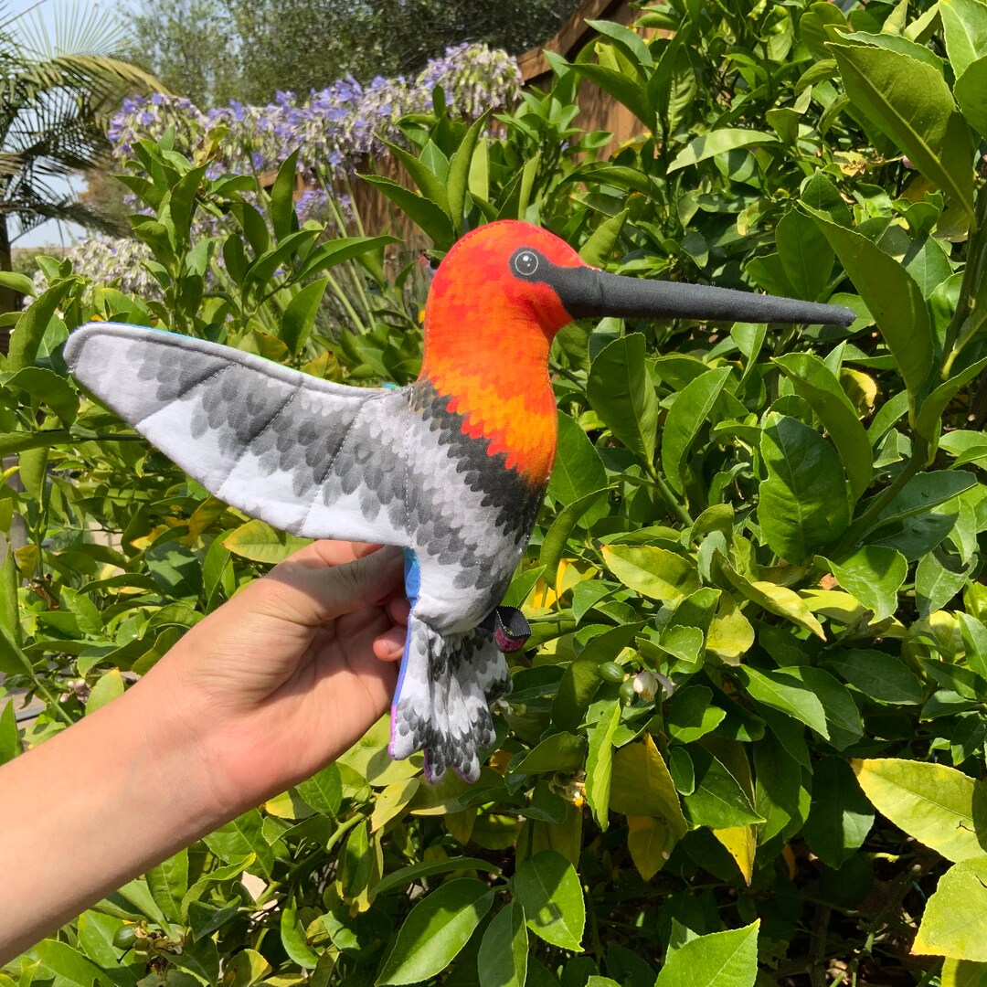 Rainbow Hummingbird, Multi color Bird, Hummingbird toy, Hummingbird ...