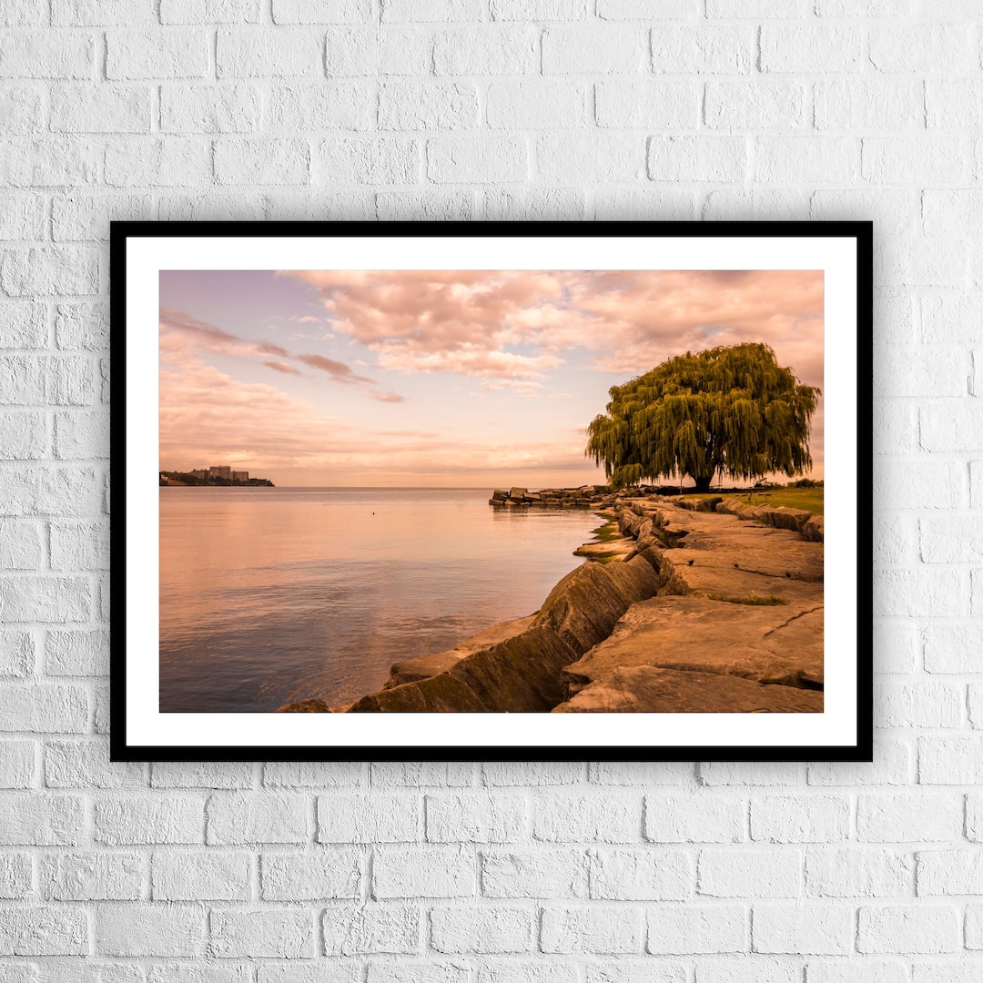 Edgewater Beach Tree, Fine Art Print, Edgewater, Wall Art, Color Fine ...