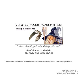 Ephemeral - 5" X 7" Fantasy Art Note Card Set - (4) Cards Included - Etsy